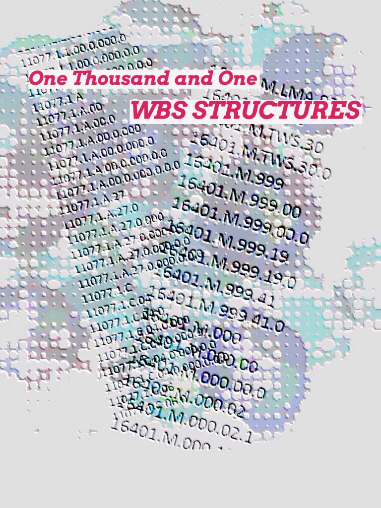 One Thousand and One WBS Codes - Veronique Frizzell